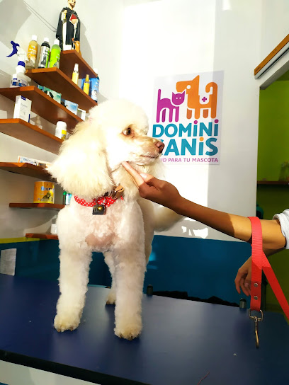 Veterinaria CLÍNICA VETERINARIA DOMINI CANIS en San Andrés Cholula ...