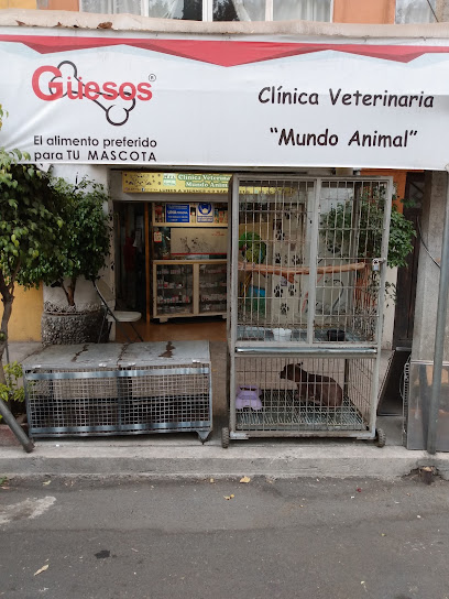 Veterinaria CLIVETMA CLINICA VETENIRANIA MUNDO ANIMAL en Ciudad de ...