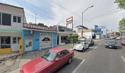 Veterinaria FLOUNDERS CLÍNICA HOSPITAL VETERINARIO en Colima ...