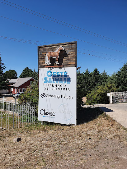 Veterinaria VETERINARIA OESTE SALVAJE en Colonia Vianna - Directorio de ...